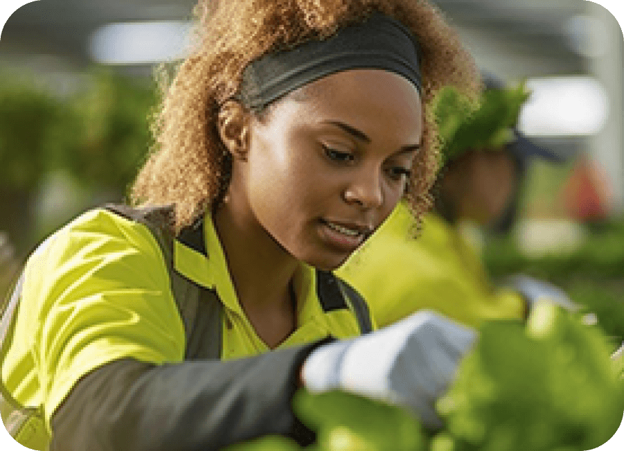 Temporary Staff Agency | Manchester, London, UK