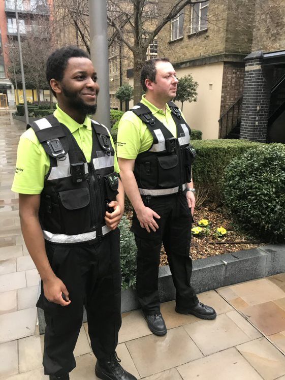 What Environmental Support Services are Offered to the Councils?