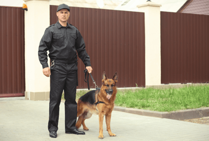 What Does It Take To Become A Dog Handler?